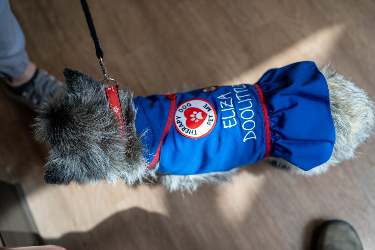 Six decades later, WHGH Auxiliary continues to play a crucial role for ...